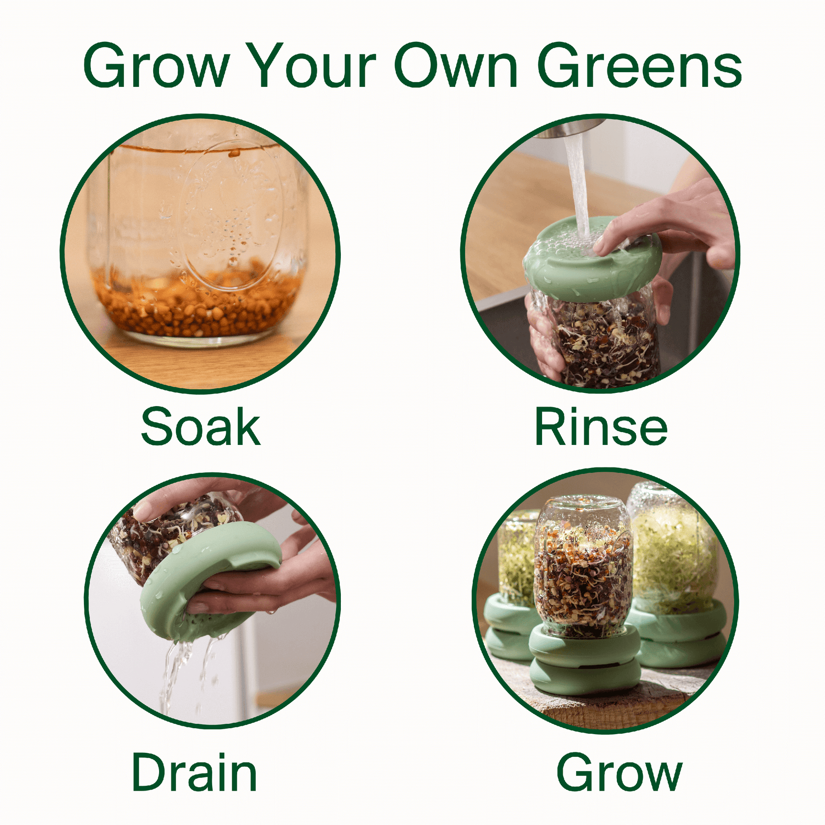 Sprout Huggers – Food Huggers