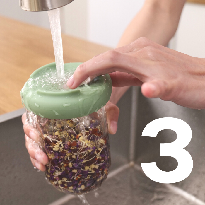 How to Sprout Huggers – Food Huggers