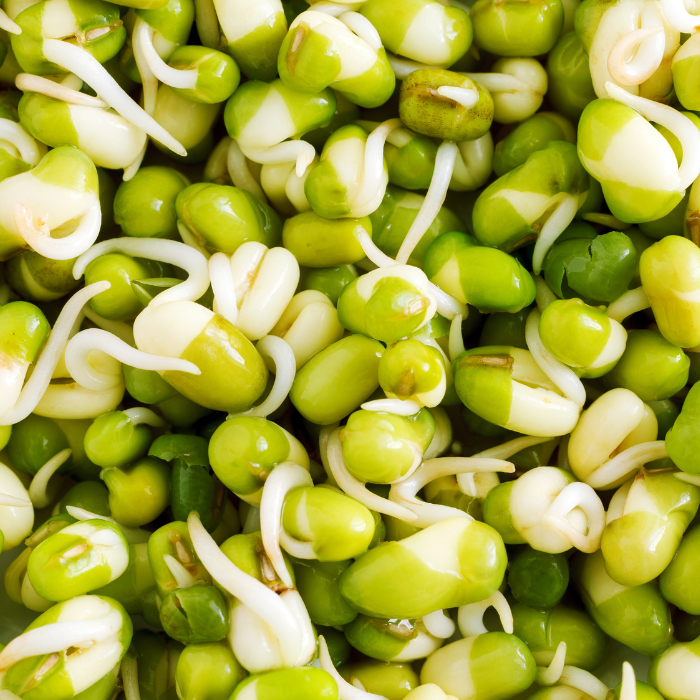 How to Sprout Huggers – Food Huggers